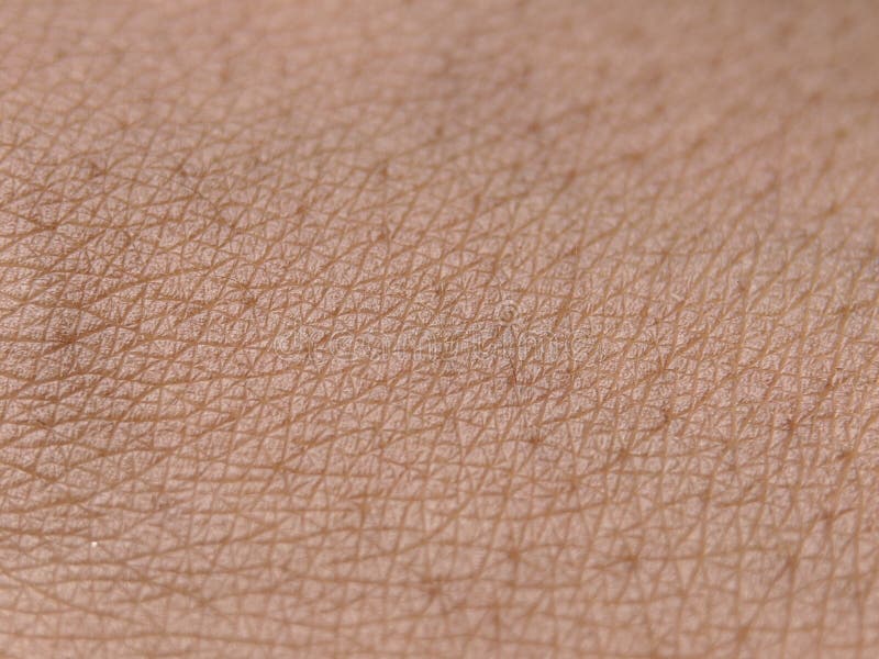 Macro of hand skin texture stock photo. Image of hardwood - 263332602