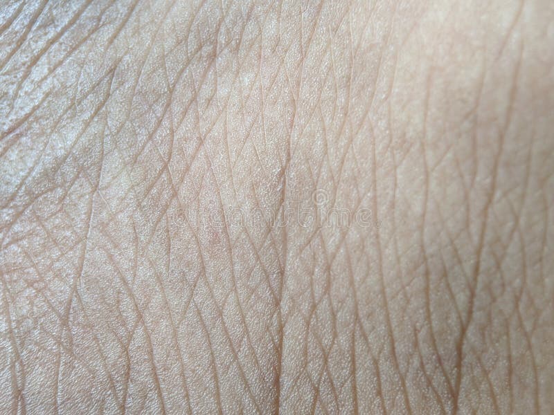 Macro of hand skin texture stock photo. Image of white - 263332606