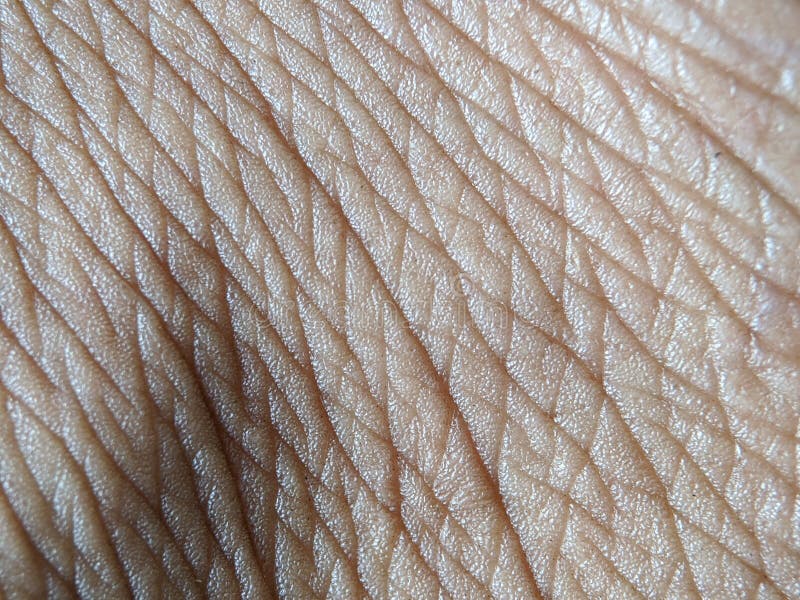 Macro of hand skin texture stock image. Image of skin - 263332643