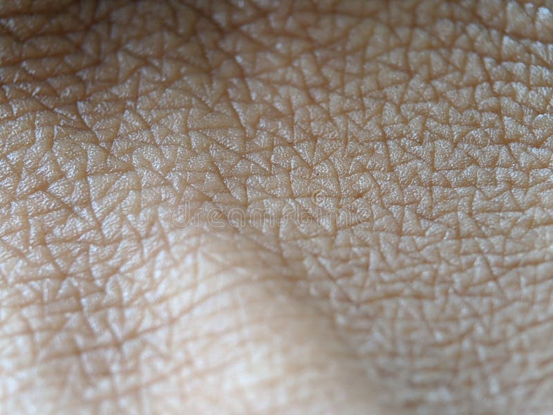 Macro of hand skin texture stock image. Image of pattern - 263331803