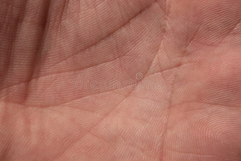 The Macro Human Hand, Macro Image of the Surface Texture of the Human ...