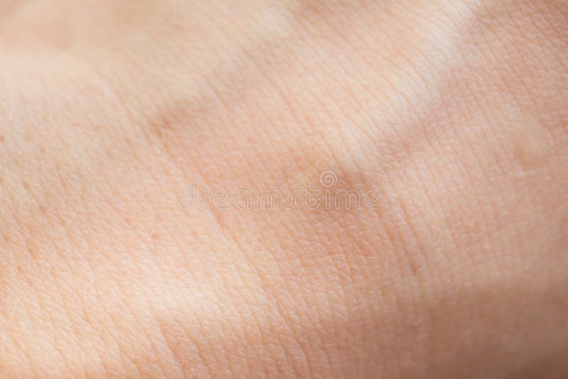 Macro of Human Skin. Human Skin Texture Stock Photo - Image of dappled ...