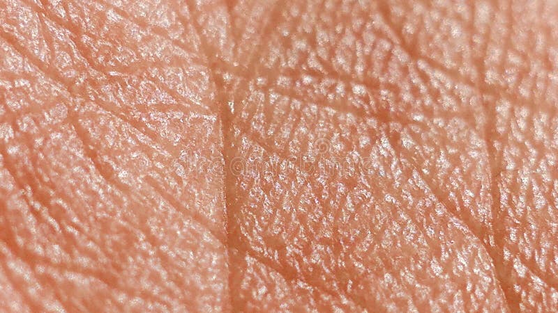 Textura humana de la piel foto de archivo. Imagen de piel - 35001172