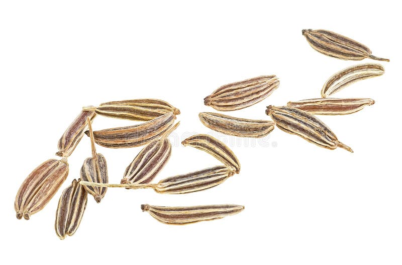 Macro Image of Cumin Seeds Isolated on White Background. Caraway Seeds ...