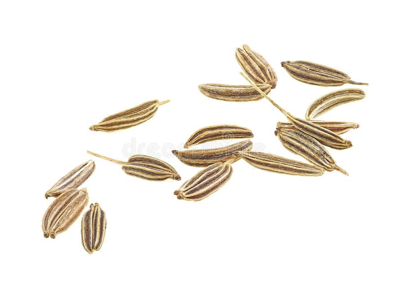 Macro Image of Cumin Seeds Isolated on White Background. Caraway on ...