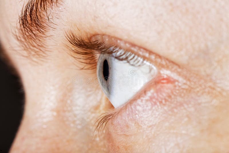 Macro image d'oeil humain image stock. Image du humain - 138020727