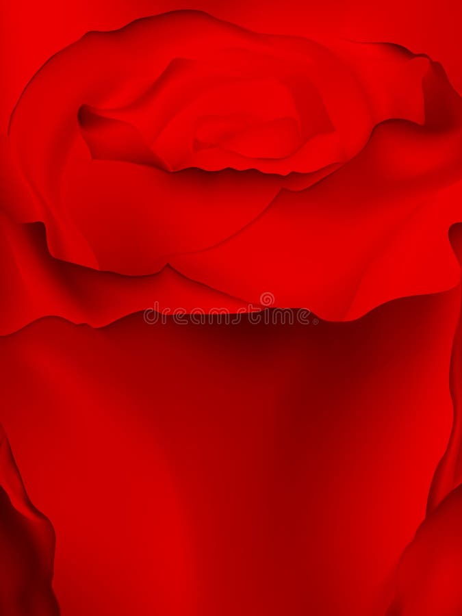 Macro Image of Dark Red Rose. EPS 10 Stock Vector - Illustration of ...