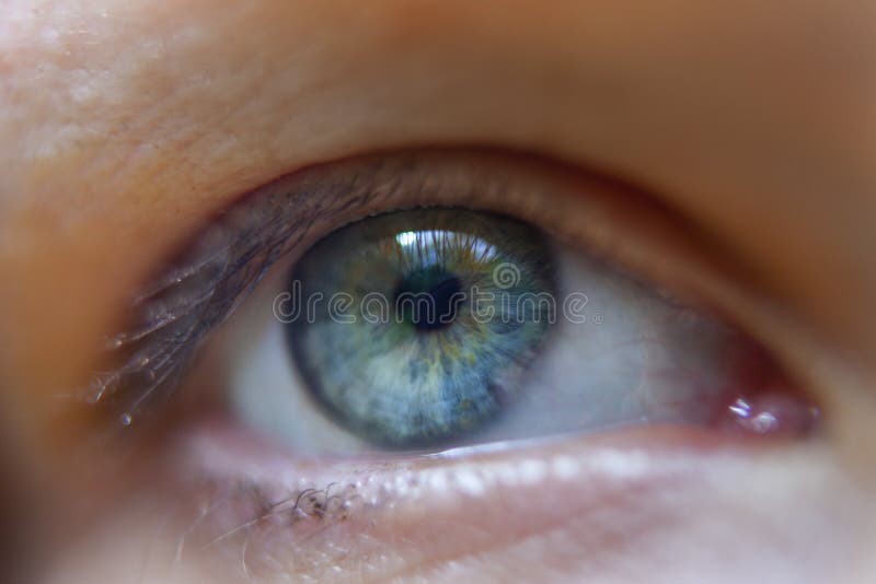Macro of human blue eye stock image. Image of maquillage - 191130557