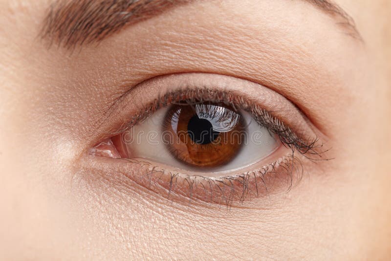 Macro image of human eye stock photo. Image of natural - 49950534