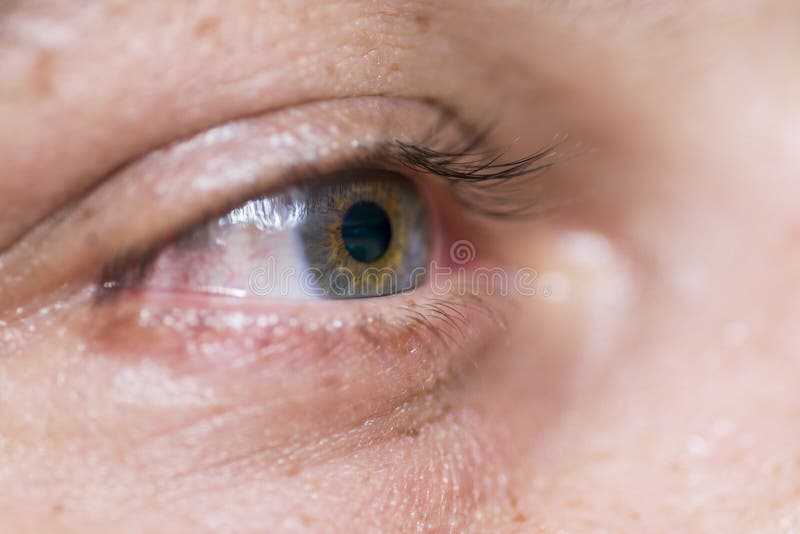 Macro image of human eye stock image. Image of caucasian - 120675781