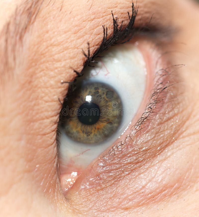 2,332 Human Eye Texture Stock Photos - Free & Royalty-Free Stock Photos ...