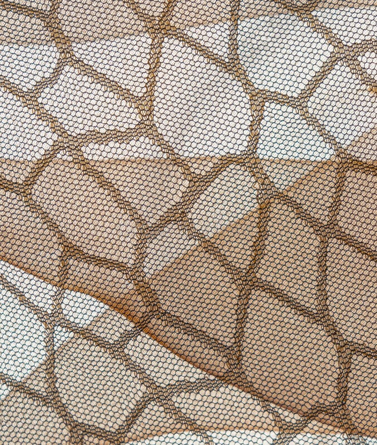 Macro Image of Layered Cloth Shows Networks of Cells, Cellular Fabric ...