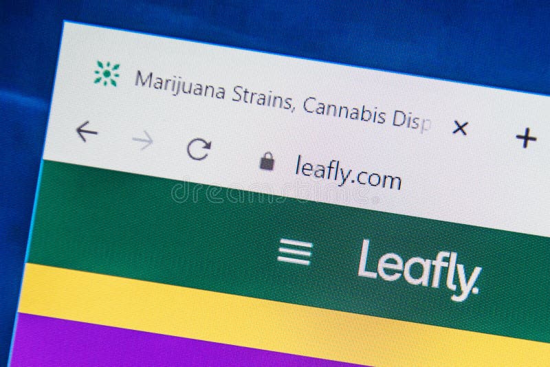 Leaflycom Stock Photos - Free & Royalty-Free Stock Photos from Dreamstime