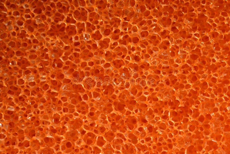 Macro Image of Orange Sponge Stock Image - Image of porous, model: 25462409