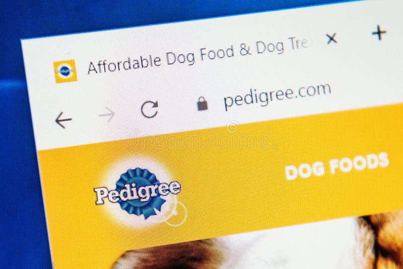 Pedigree Homepage Stock Photos - Free & Royalty-Free Stock Photos from ...