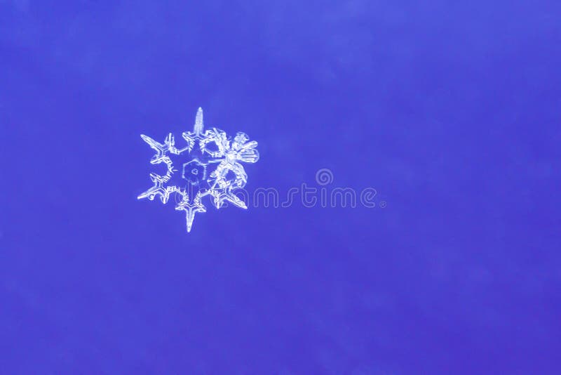 Macro Image of a Single Snowflake Stock Image - Image of pattern ...