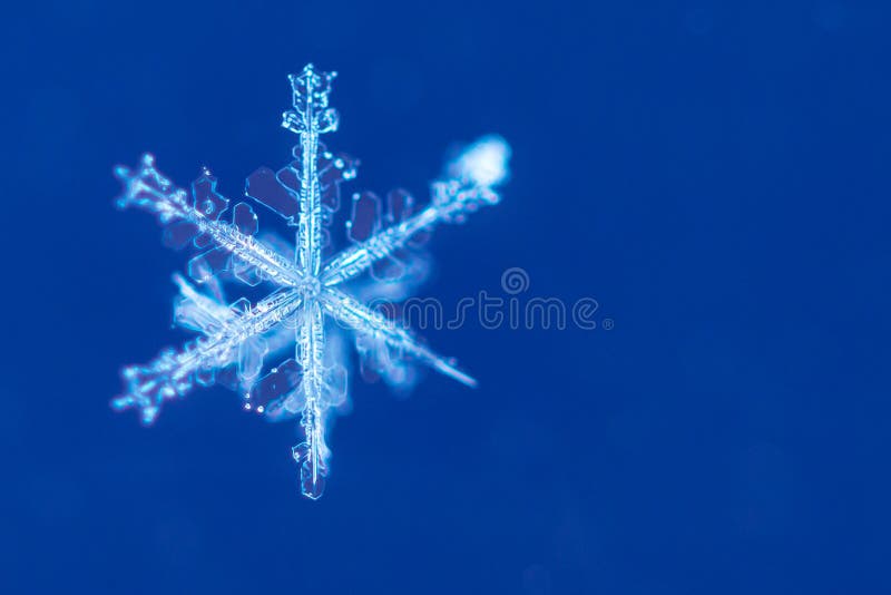 Macro Image of a Single Snowflake Stock Photo - Image of frost ...