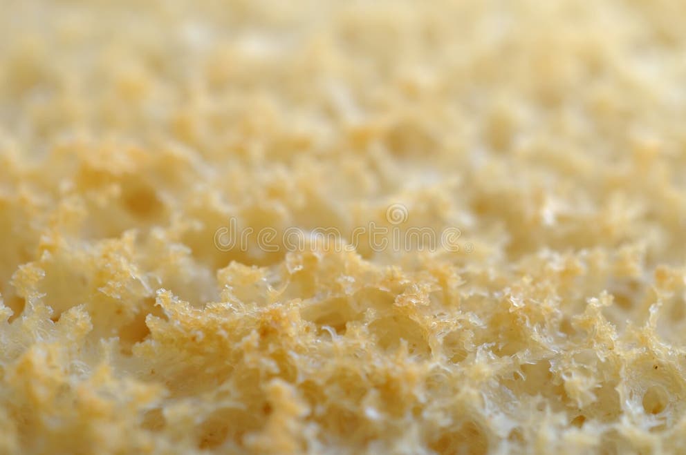 Dry toast stock photo. Image of delicious, restaurant - 30275408
