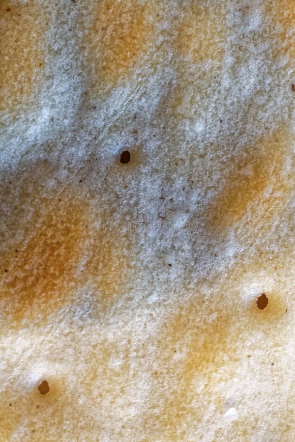 Wafer Biscuit Macro/Close Up Texture Stock Image - Image of biscuit ...