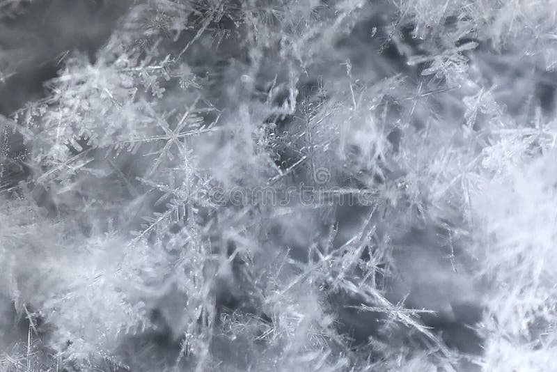 Macro Image of White and Grey Snowflakes with Different Shapes and ...