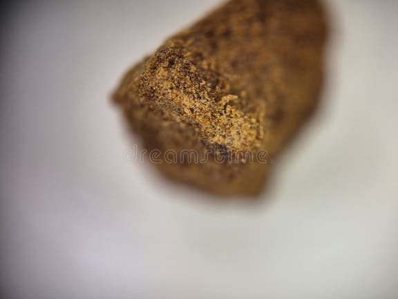 Macro of an Instant Coffee Bean Under a Microscope Stock Image - Image ...
