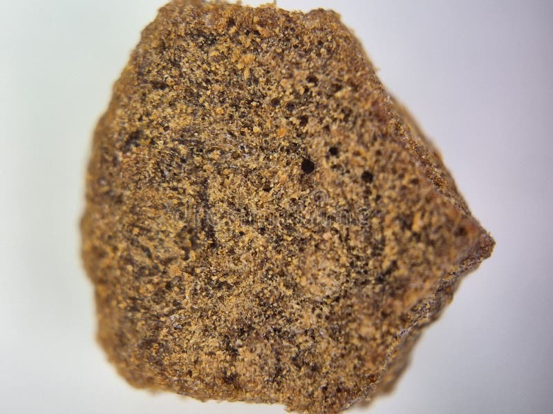 Macro of an Instant Coffee Bean Under a Microscope Stock Photo - Image ...