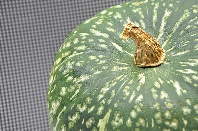 Macro Japanese Pumpkin stock image. Image of fall, ripe - 16464779