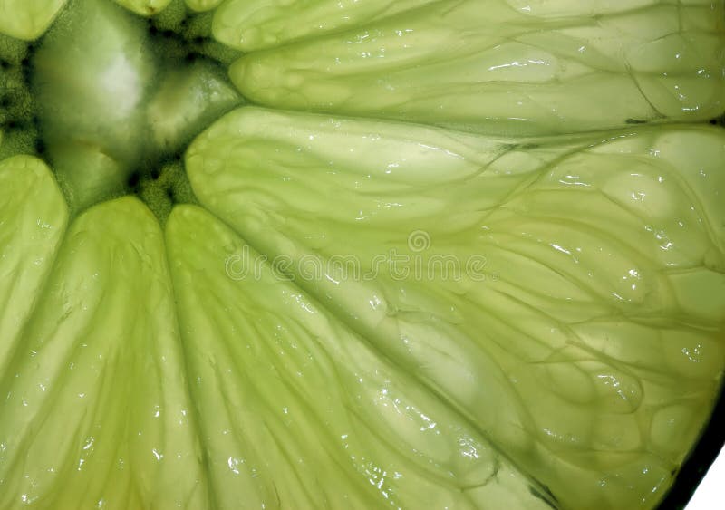 Macro Lime Slice stock image. Image of slice, sour, lime - 328009