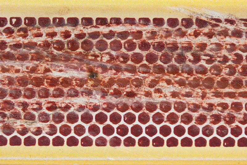 559 Macro Matchbox Texture Stock Photos - Free & Royalty-Free Stock ...