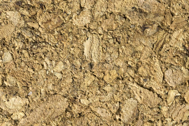 Pressed Cork Surface Extreme Macro Close Up Stock Image - Image of ...