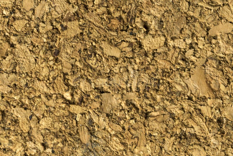Pressed Cork Surface Extreme Macro Close Up Stock Image - Image of ...