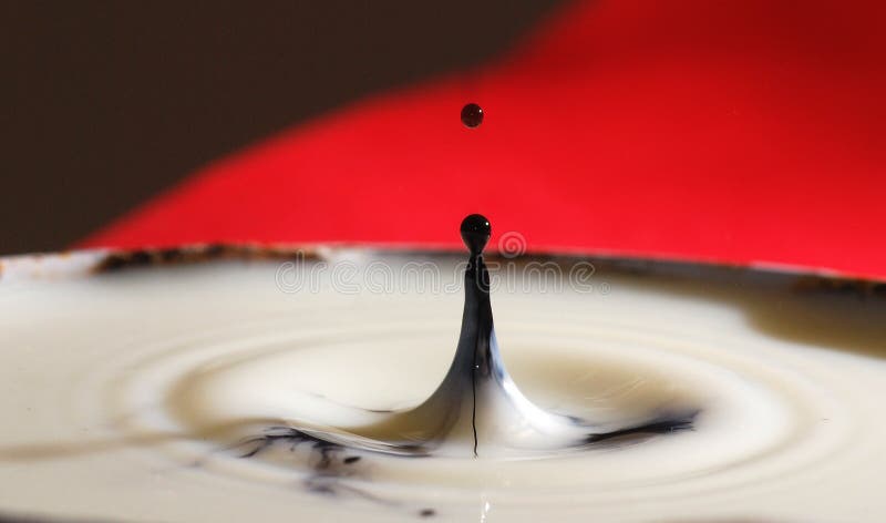 Macro stock photo. Image of black, milk, freez, drop - 82247996