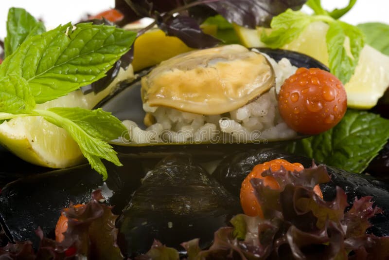 Macro mussel plate stock image. Image of plate, macro - 13336103