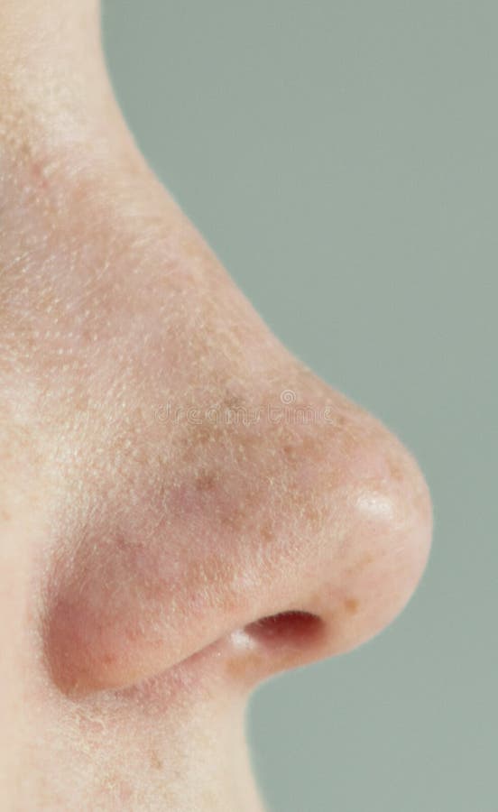 Macro of nose stock photo. Image of woman, girl, isolated - 117740910