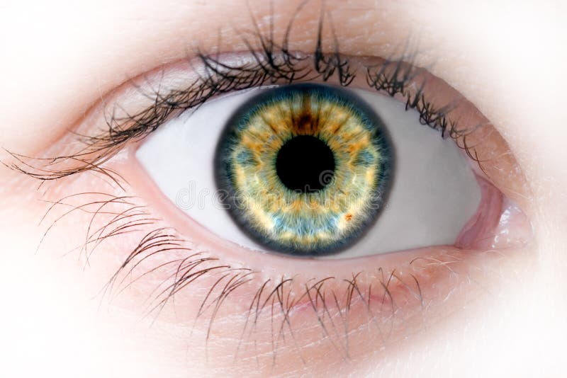 Iris d'un oeil humain photo stock. Image du optométriste - 50564512