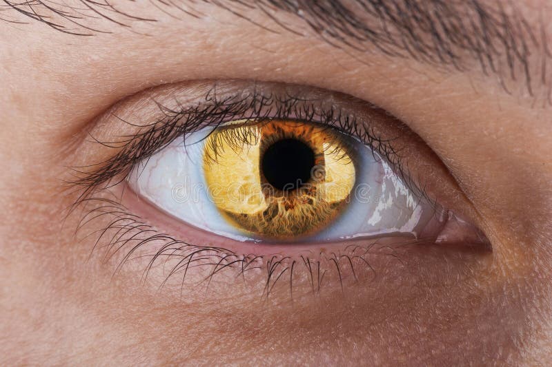 Macro Photo of Beautiful Female Eye Stylized with Fire Inside Looking ...
