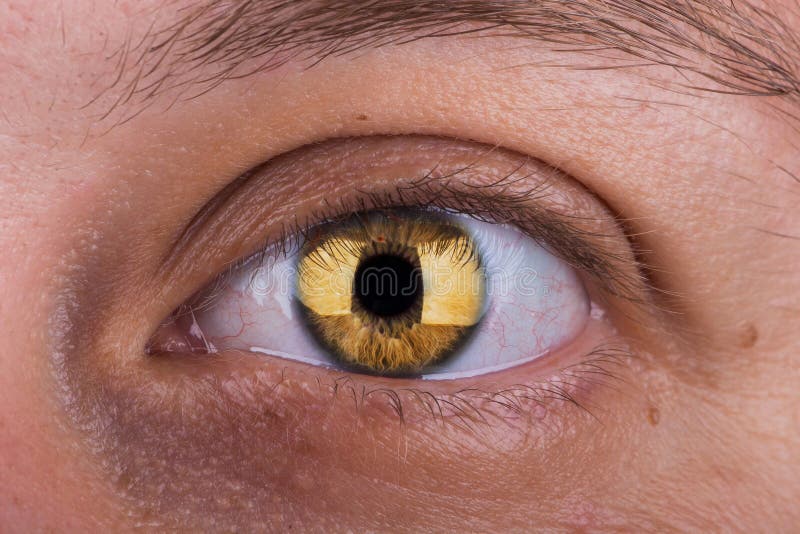 Macro Photo of Beautiful Male Eye Stylized with Fire Inside Looking ...