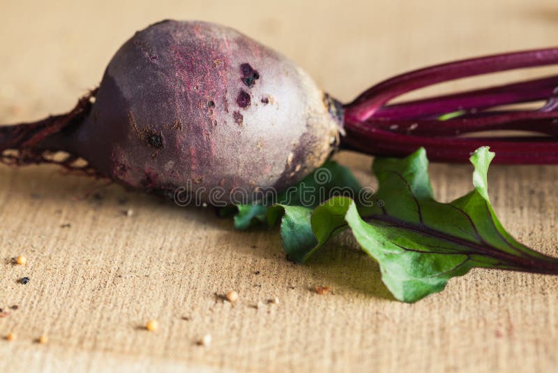 Beetroot stock image. Image of ingredient, garden, closeup - 123123423