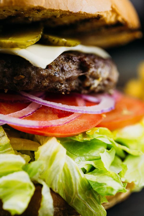 Macro photo of a burger stock image. Image of tomato - 181460559