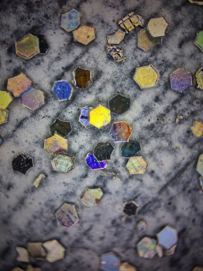 Macro Photo of Christmas Decorations Under a Microscope Stock Image ...