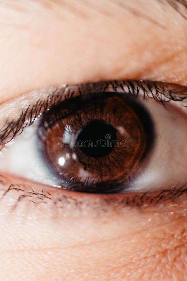 Macro Photo D'un Oeil Brun Humain Photo stock - Image du brun, fond ...