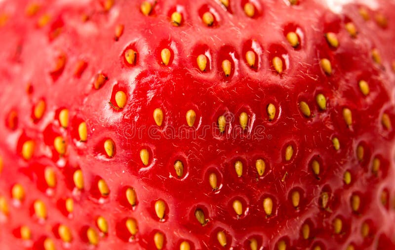 Macro Photo De Texture De Fraise Image stock - Image du juteux ...