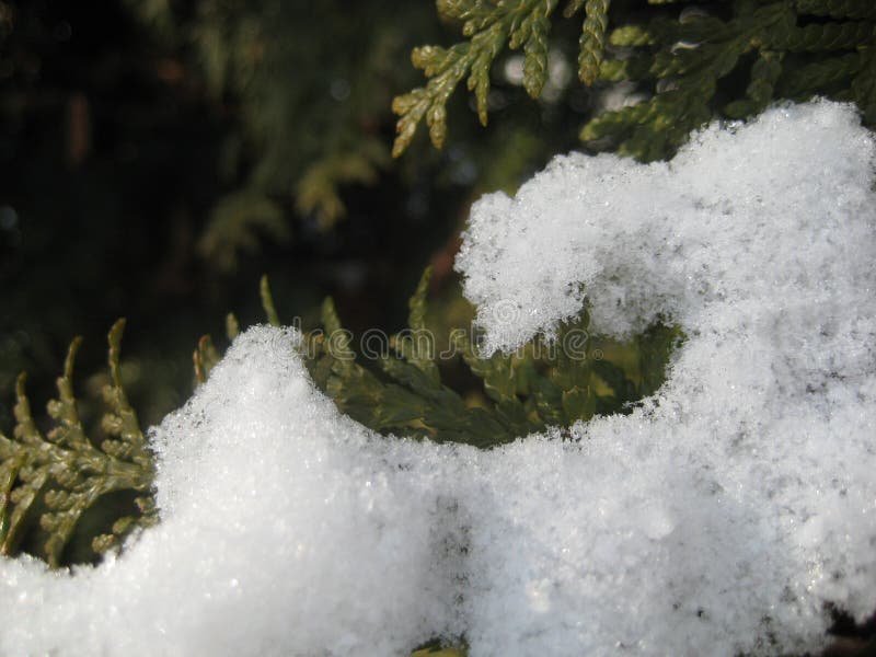 Macro Photo with Decorative Background Textures of White Snowflakes on ...