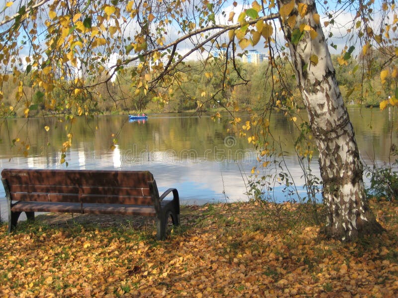 Macro Photo with a Decorative Landscape Background Beautiful Water ...