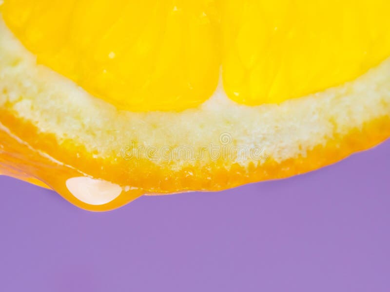 Dew Drop on the Orange Flower Stock Photo - Image of fresh, ornamental ...