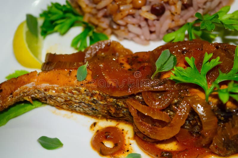 Macro Photo of Fish and Rice Stock Image - Image of bajan, cooked: 49021699