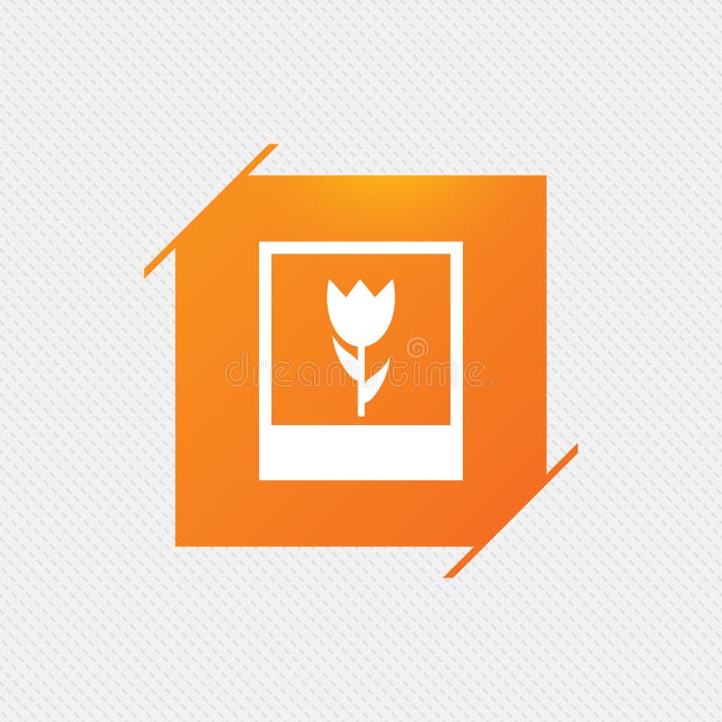 Macro Photo Frame Icon. Flower Photography. Stock Vector - Illustration ...