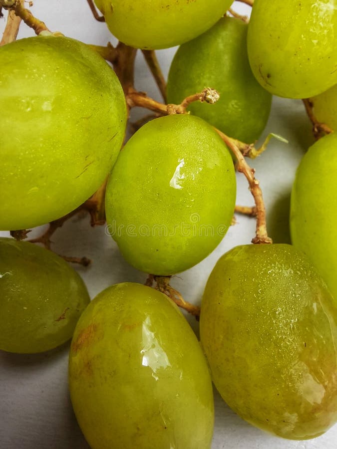 Macro Photo of Fresh Green Grapes Stock Image - Image of flower, tree ...
