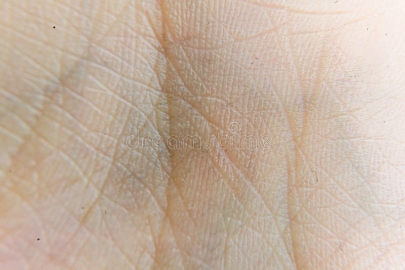Macro Photo of a Human Skin Texture B Stock Image - Image of body ...