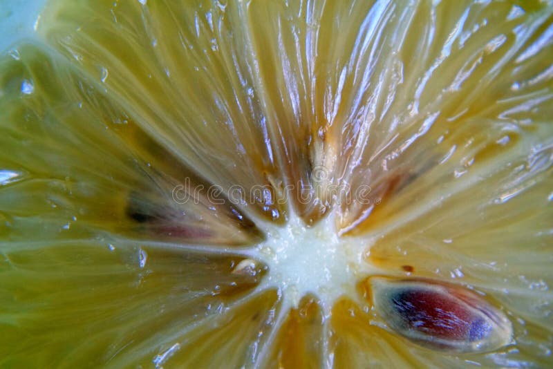 Lemon inside stock photo. Image of detailed, citrus - 137067500